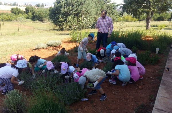 ΔΡΑΣΕΙΣ ΤΟΥ 2ΟΥ ΝΗΠΙΑΓΩΓΕΙΟΥ ΑΛΜΥΡΟΥ - ΕΚΠΑΙΔΕΥΤΙΚΗ ΕΠΙΣΚΕΨΗ ΣΤΟΝ ΕΛΓΟ ...