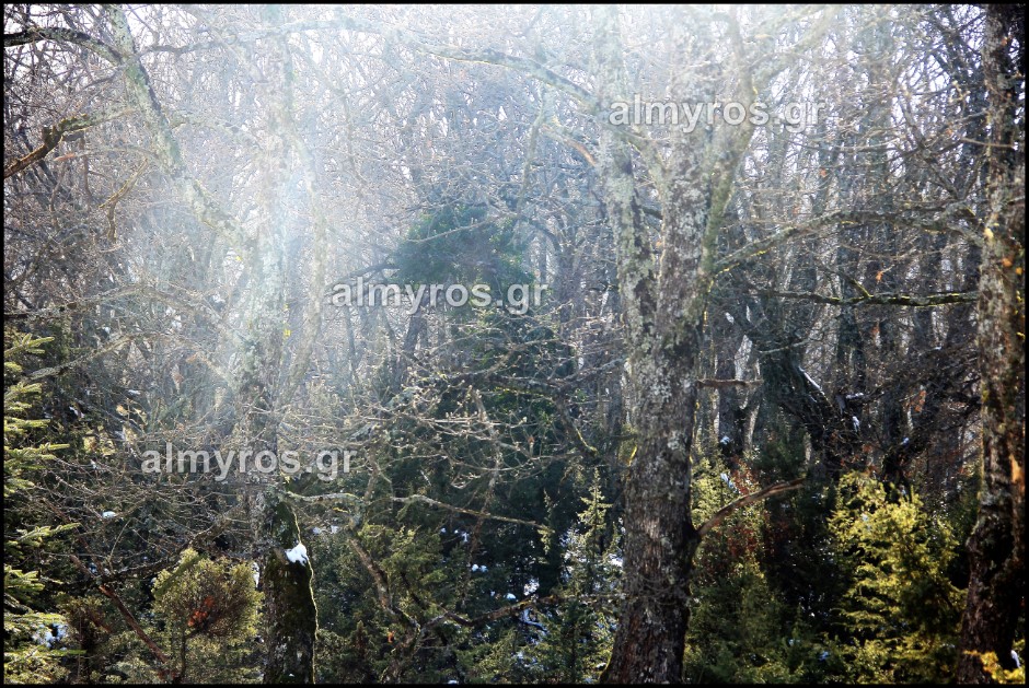 Εικόνες του τόπου μας - Το πετρογέφυρο του Μαυρομάτη στον Αη Γιάννη ...