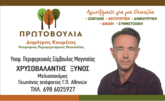 Δήλωση υποψηφιότητας Χρυσοβαλάντη Ξυνού υποψήφιου περιφερειακού ...