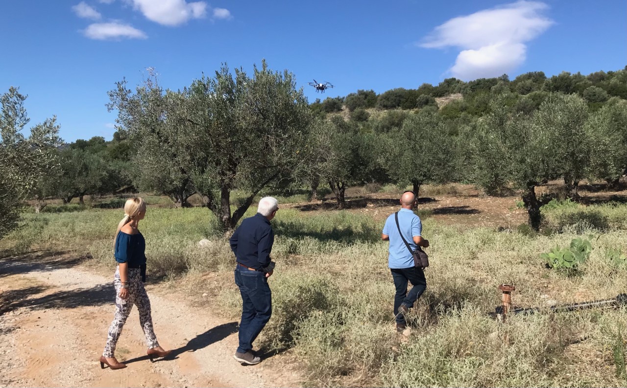 Πειραματική εφαρμογή δολωματικών ψεκασμών με drone για την καταπολέμηση ...