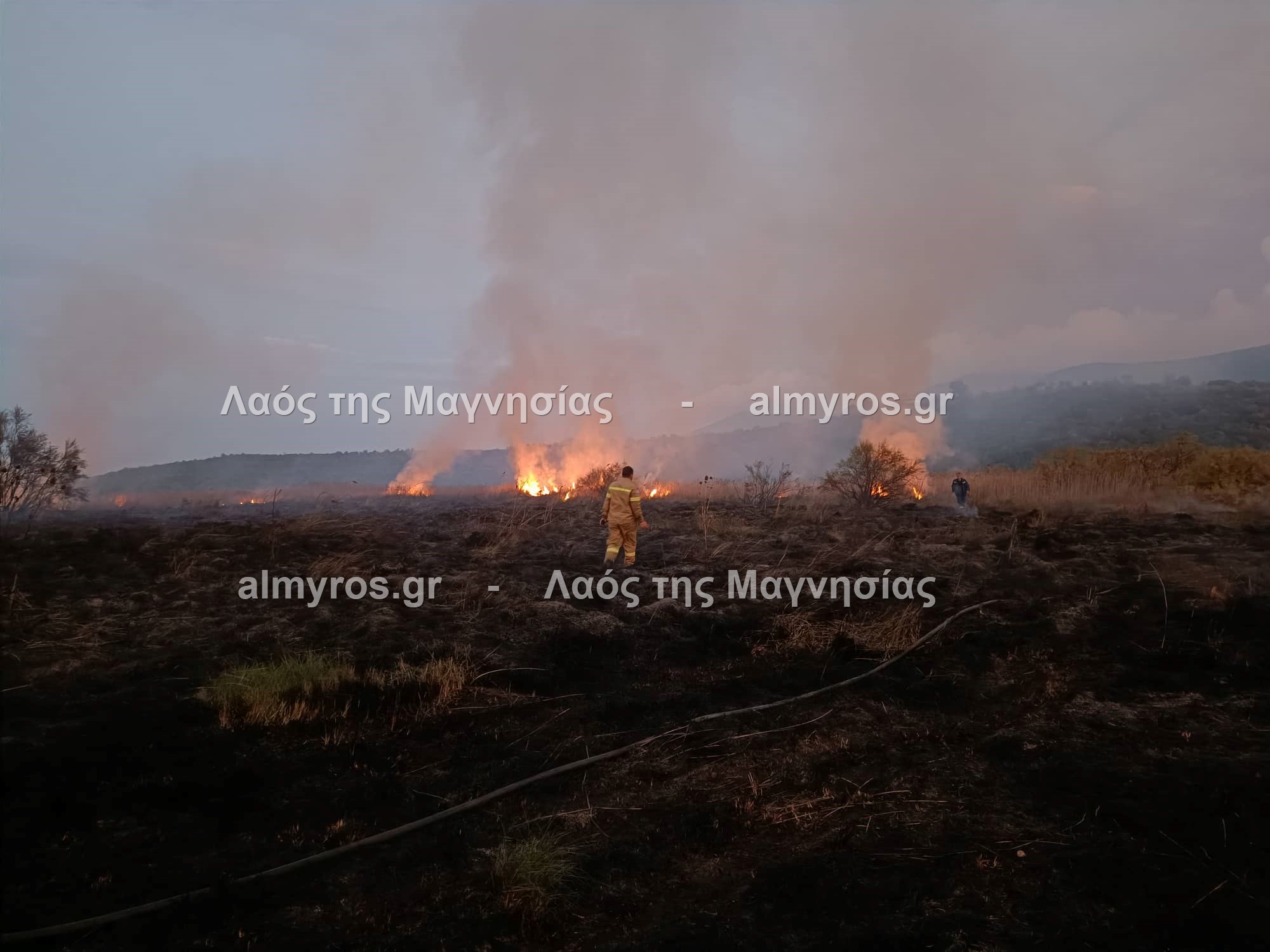 Φωτιά στον υδροβιότοπο Λειχούρας Πτελεού (video, φωτο) - Λαός της Μαγνησίας