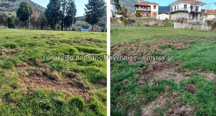 Καταγγελία αναγνώστη για το γήπεδο Πτελεού - Λαός της Μαγνησίας