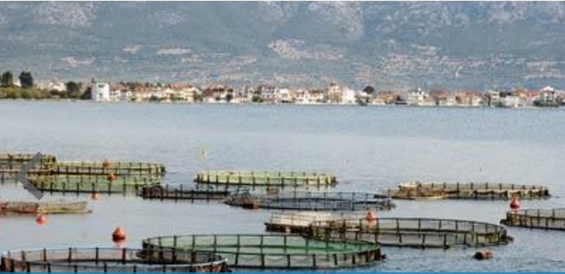 Υποβολή αιτήσεων χρηματοδότησης του τομέα αλιείας και υδατοκαλλιέργειας ...