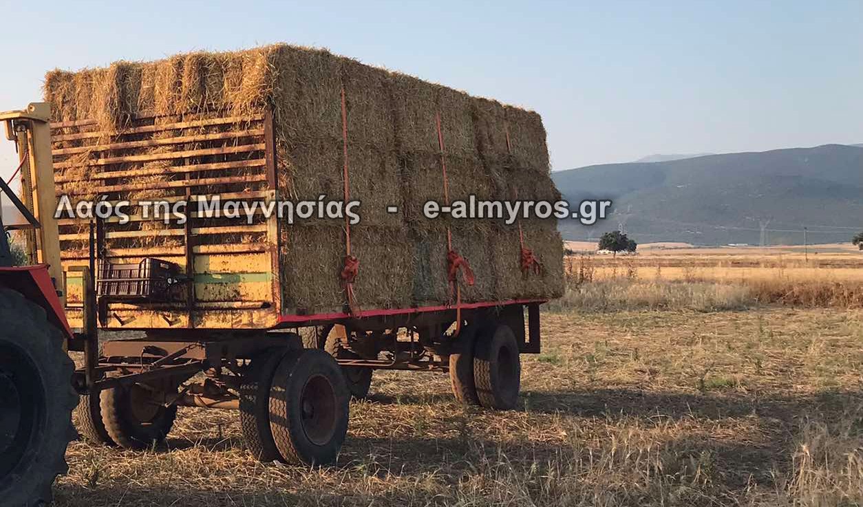 Την Παρασκευή κατατέθηκαν οι προκαταβολές αποζημιώσεων για το ζωικό ...