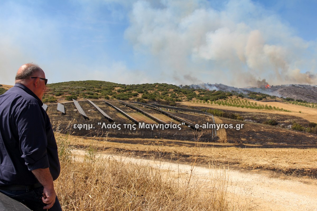 Δήλωση Δημάρχου Ρήγα Φεραίου, Δημήτρη Στ. Νασίκα για τις πυρκαγιές ...